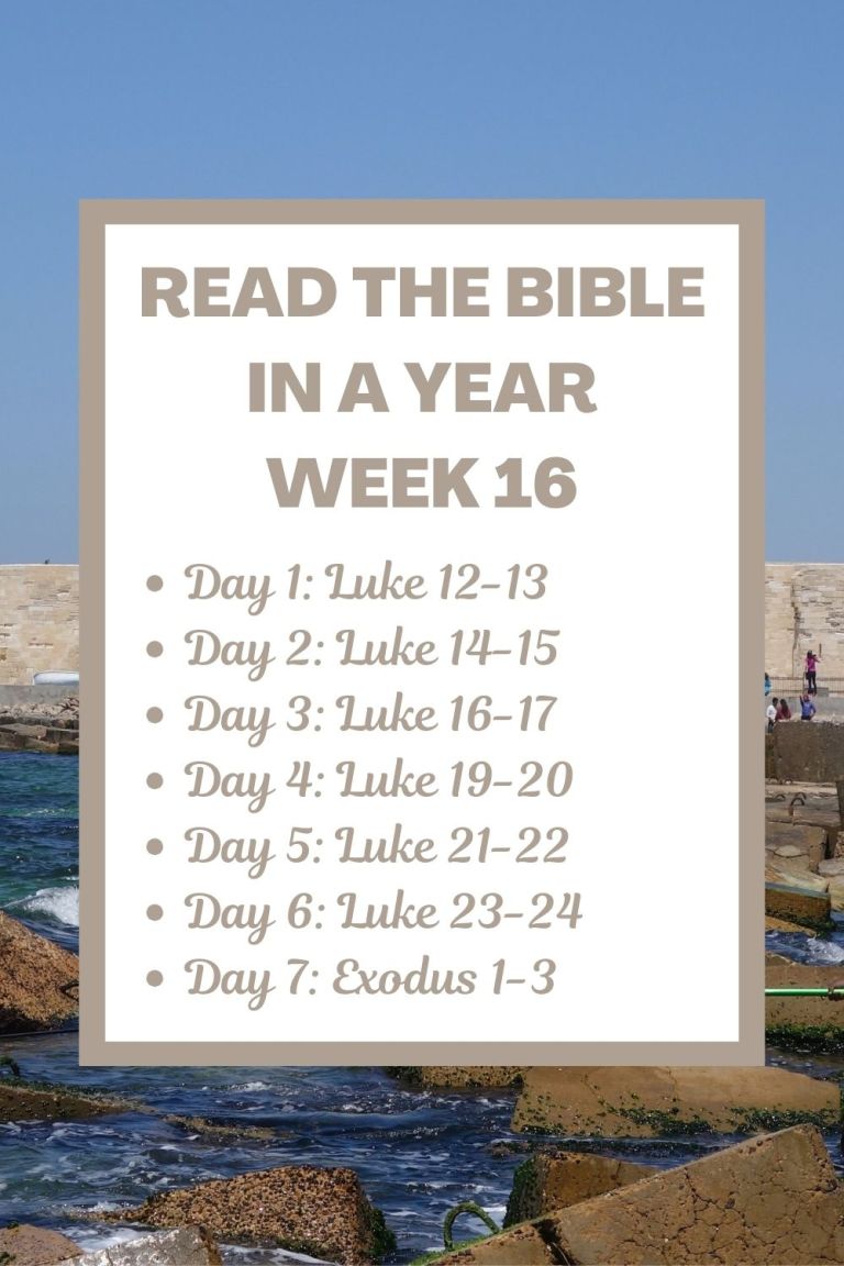 Read the Bible in a Year: Week 16 – Luke 12-24 and Exodus 1-3 – Joyful ...