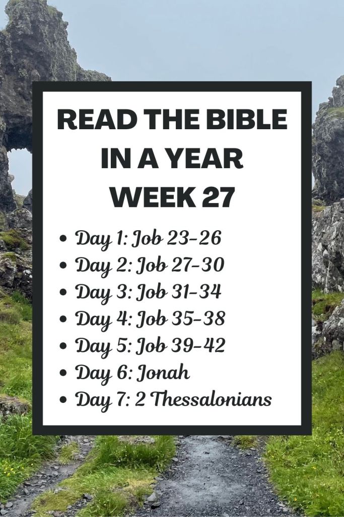Read the Bible in a Year: Week 27 – Job 23-42, Jonah, and 2 ...
