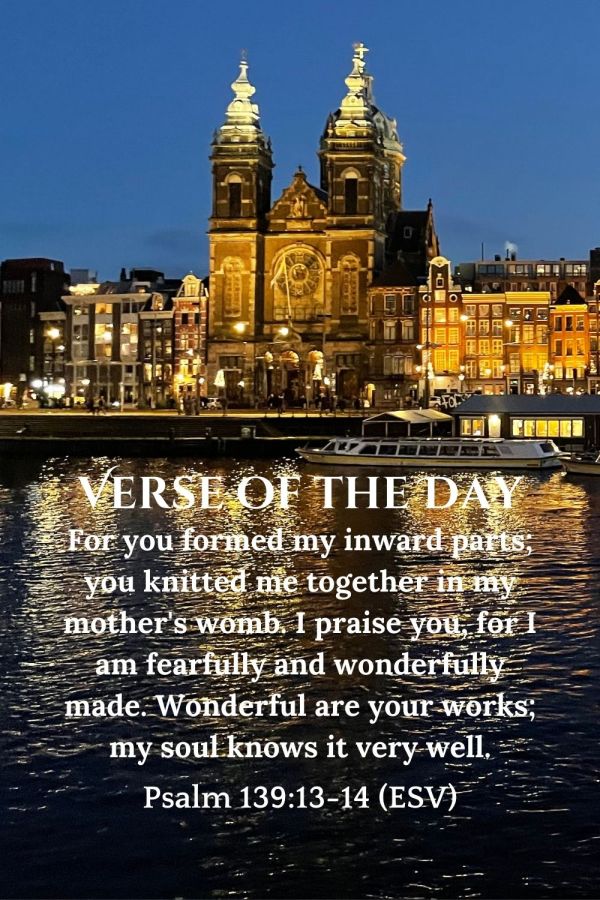 10 Encouraging Bible Verses for Those Facing Chronic Pain – Joyful ...