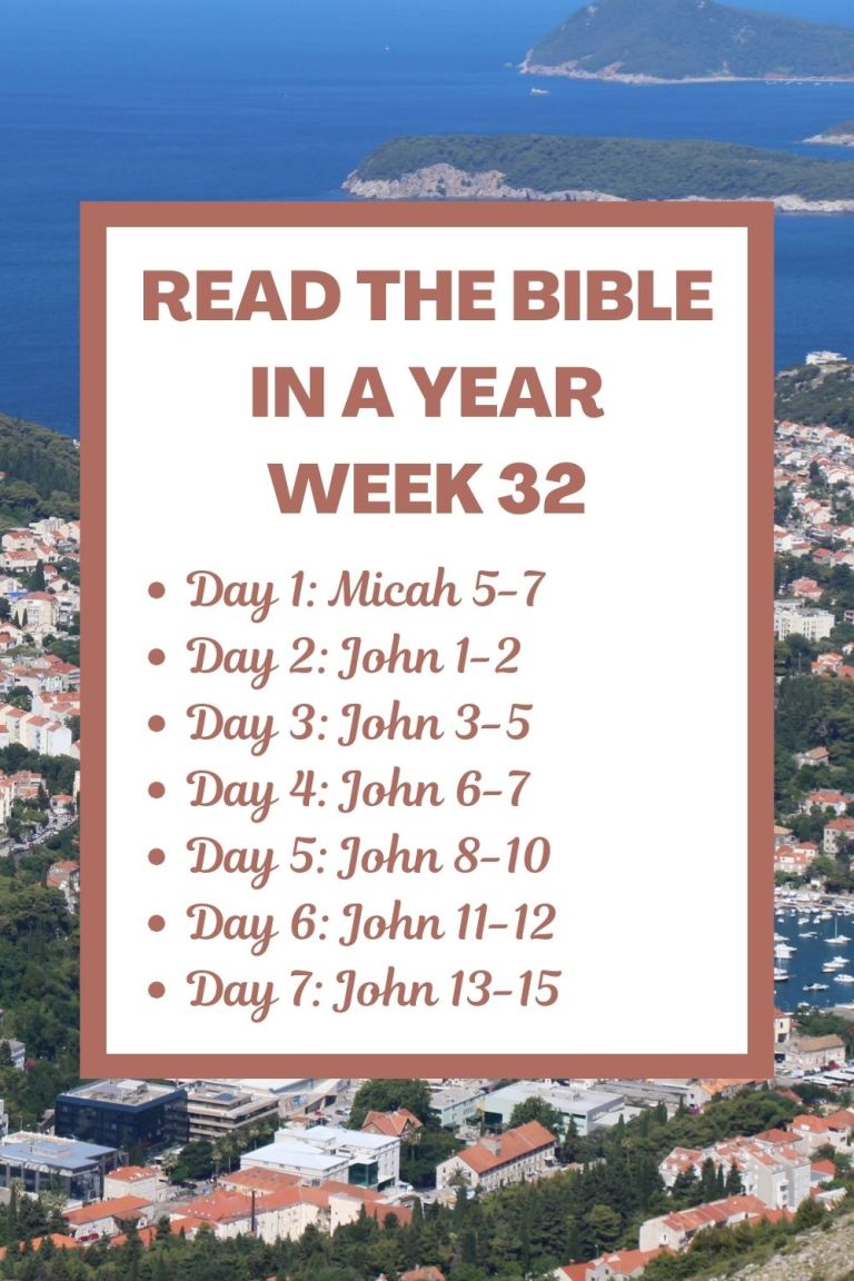 Read the Bible in a Year: Week 32 – Micah 5-7 and John 1-15 – Joyful ...