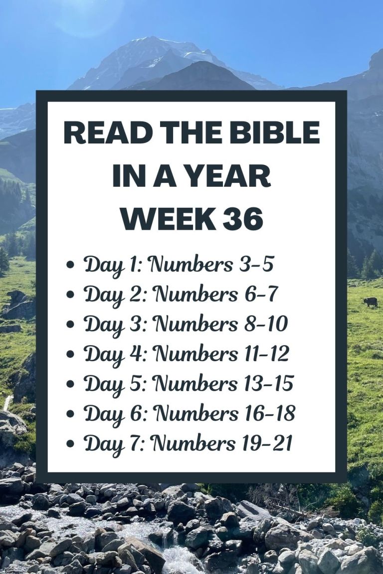 Read the Bible in a Year: Week 36 – Numbers 3-21 – Joyful Moments in Christ