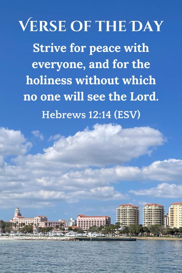 A Prayer for Becoming a Peacemaker – Joyful Moments in Christ