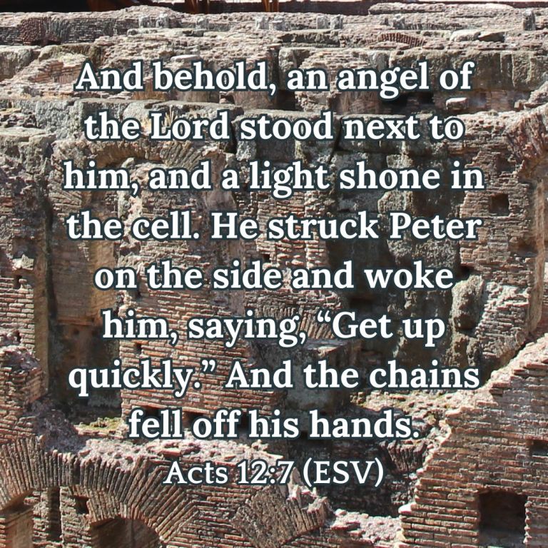 Read the New Testament in a Year: Week 8 – Acts of the Apostles ...