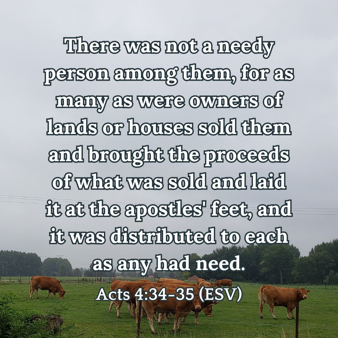 Read The New Testament In A Year Week 6 Acts Of The Apostles Read The New Testament In A Year Week 6 Acts Of The Apostles
