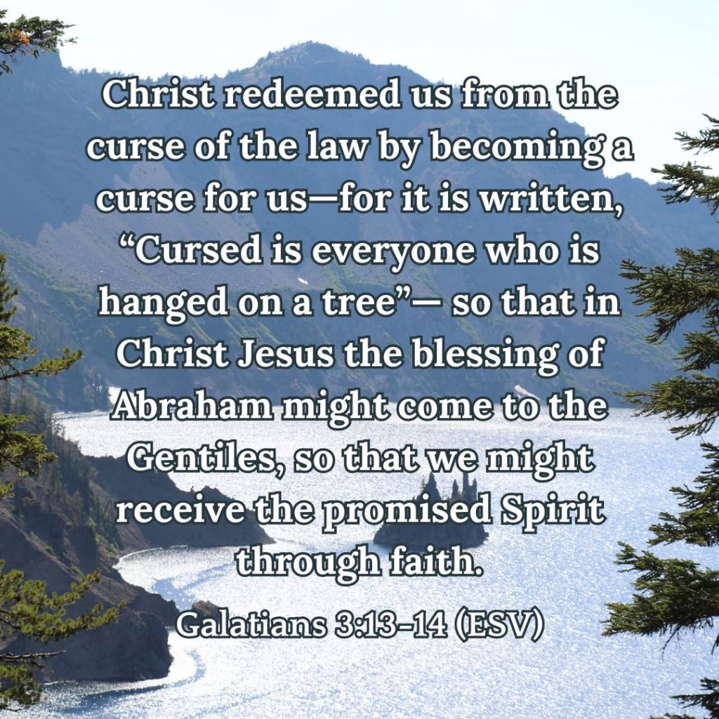 Read the New Testament in a Year: Week 11 – Acts 27-28 and Galatians 1 ...