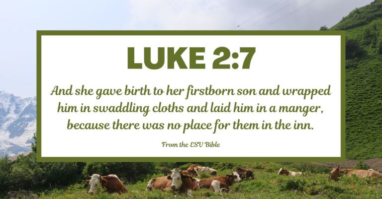 Read the New Testament in a Year: Week 1 – The Gospel of Luke Chapters ...