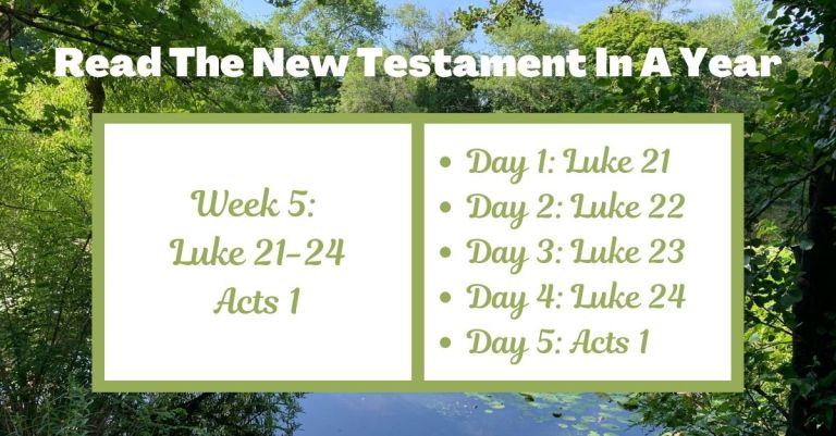 Read the New Testament in a Year: Week 5 – Luke 21-24 and Acts 1 ...