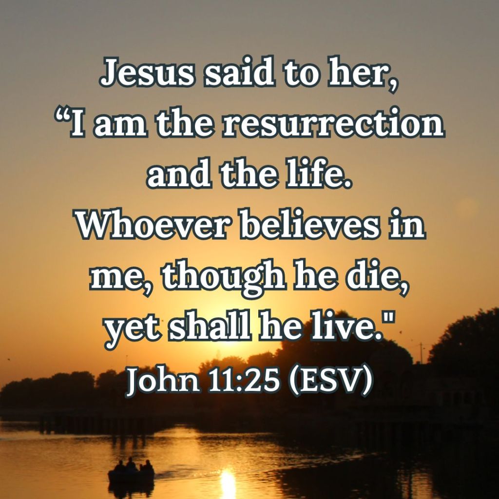 Read the New Testament in a Year: Week 20 – The Gospel of John Chapters ...