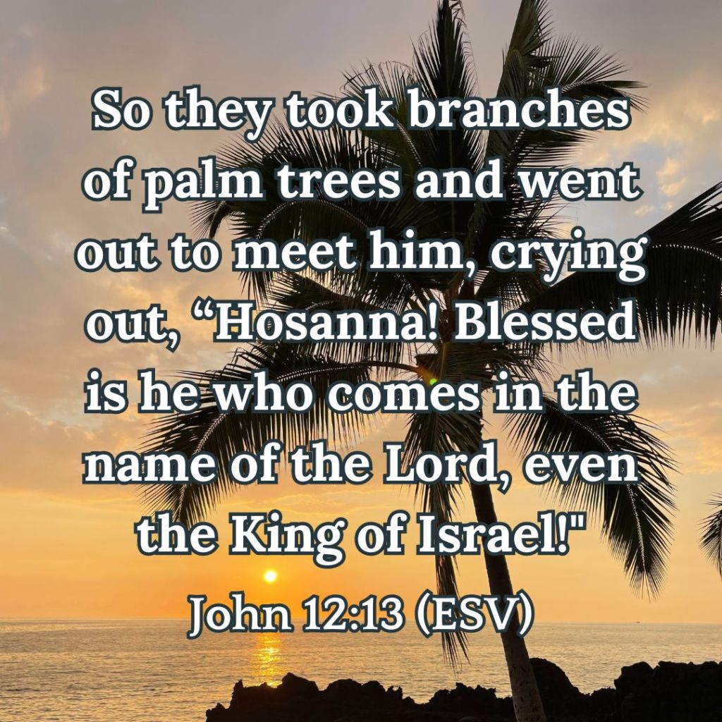 Read the New Testament in a Year: Week 20 – The Gospel of John Chapters ...