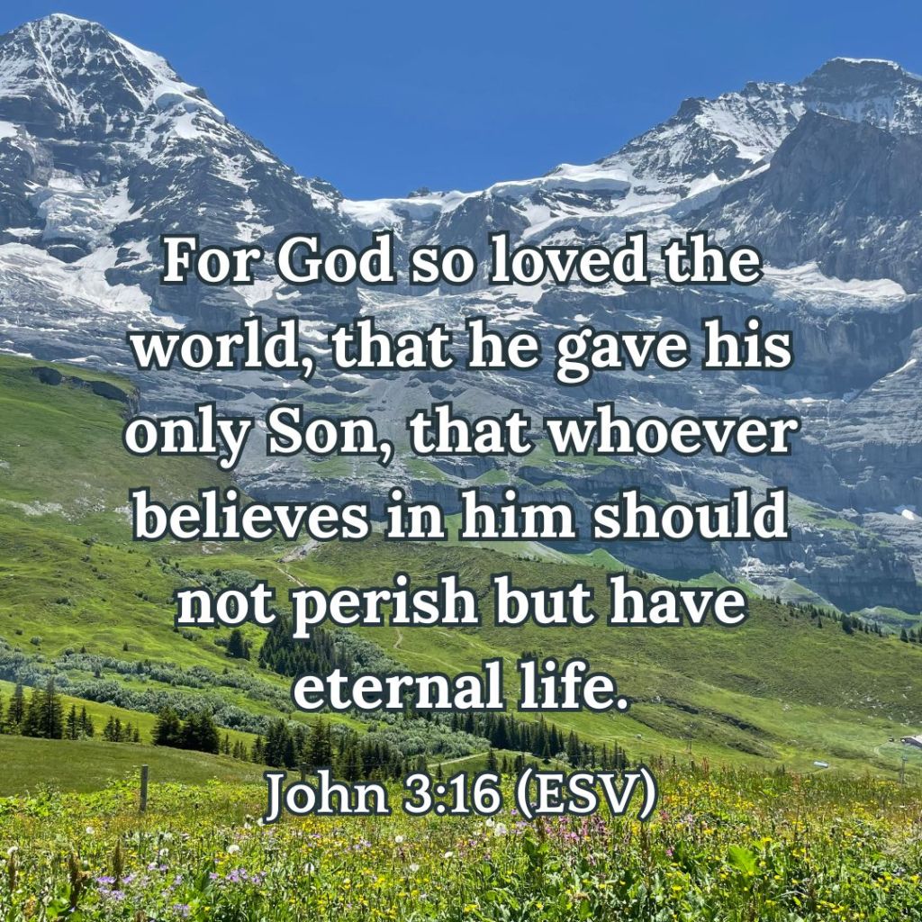 Read the New Testament in a Year: Week 19 – The Gospel of John Chapters ...