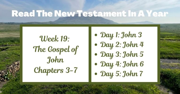 Read The New Testament In A Year Week 16 Romans 8 12 Joyful