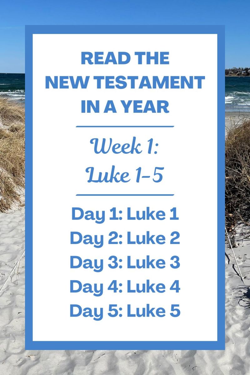 Read the New Testament in a Year: Week 1 – The Gospel of Luke Chapters ...