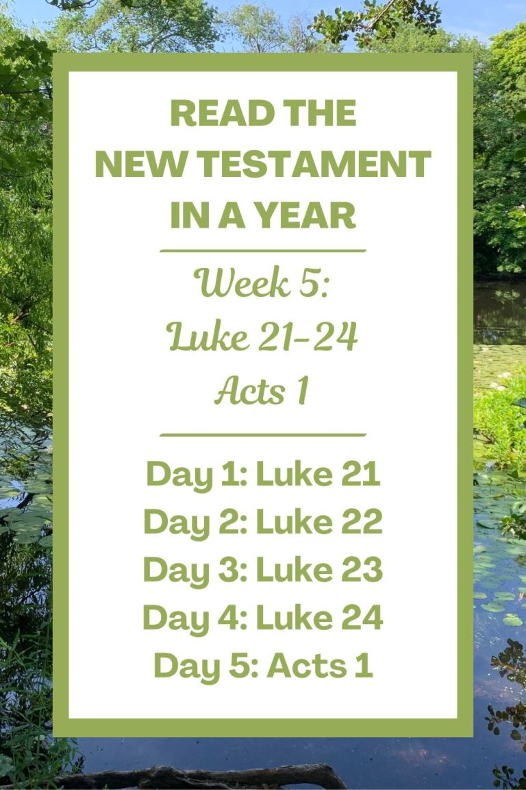 Read the New Testament in a Year: Week 5 – Luke 21-24 and Acts 1 ...