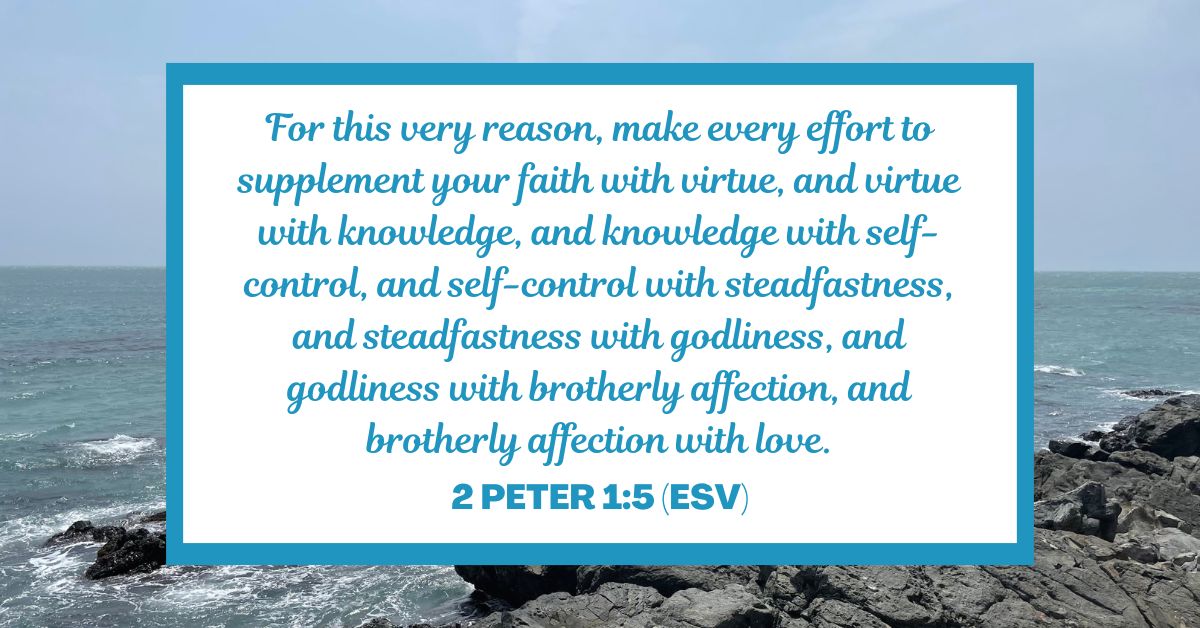 Read the New Testament in a Year: Week 38 – 1 Peter 5, 2 Peter 1-3, and ...