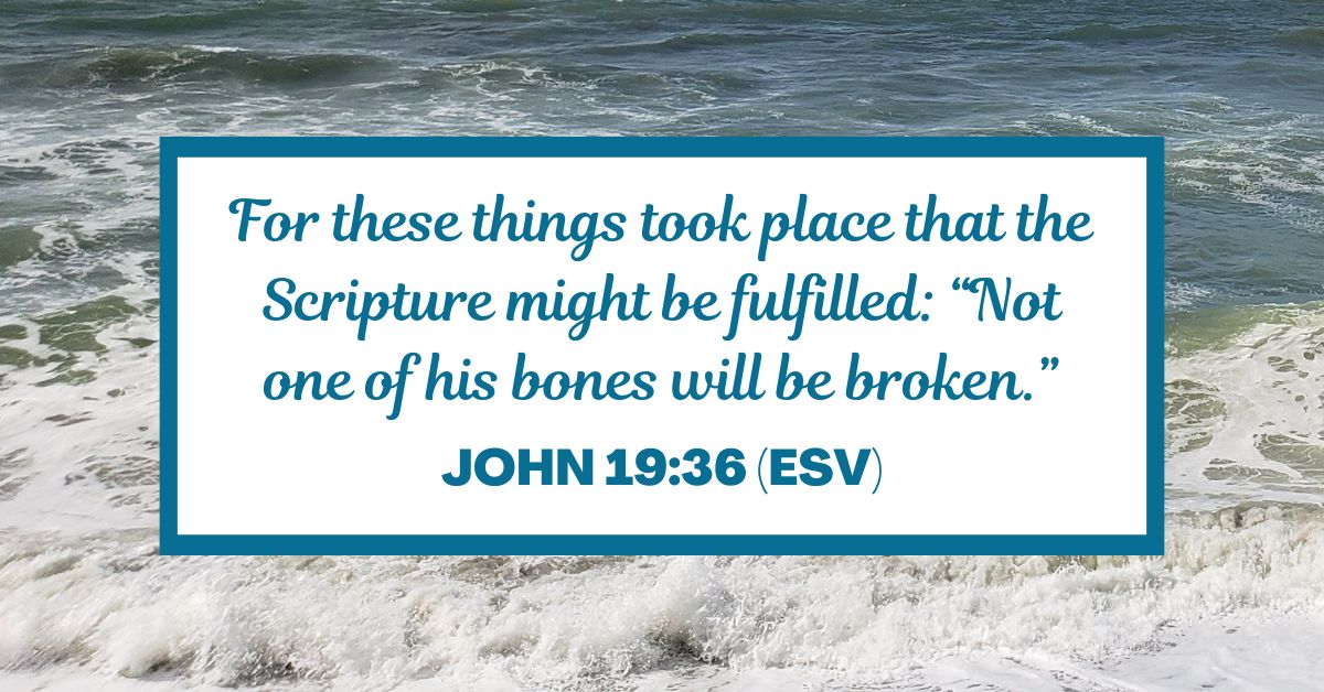 Read the New Testament in a Year: Week 22 – John 18-21 and 1 ...