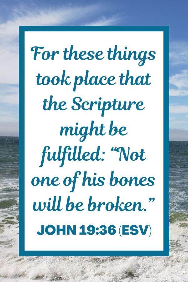 Read the New Testament in a Year: Week 22 – John 18-21 and 1 ...