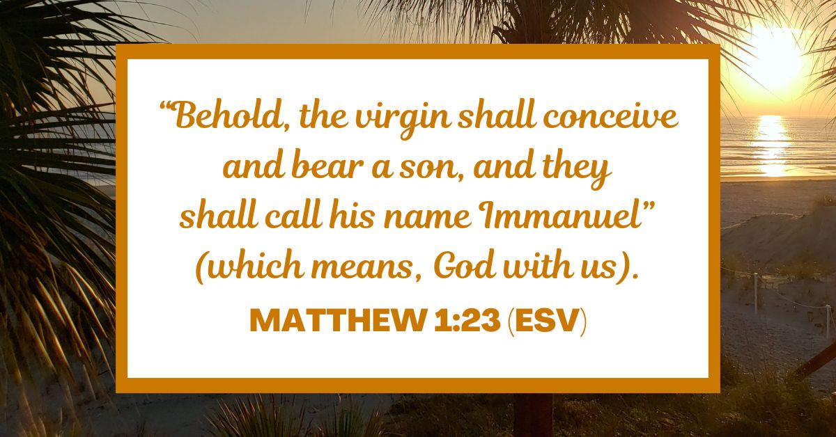 Read the New Testament in a Year: Week 38 – 1 Peter 5, 2 Peter 1-3, and ...