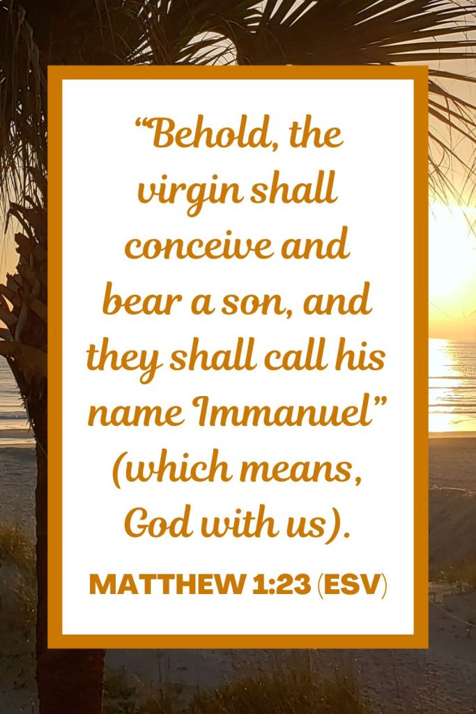 Read the New Testament in a Year: Week 38 – 1 Peter 5, 2 Peter 1-3, and ...