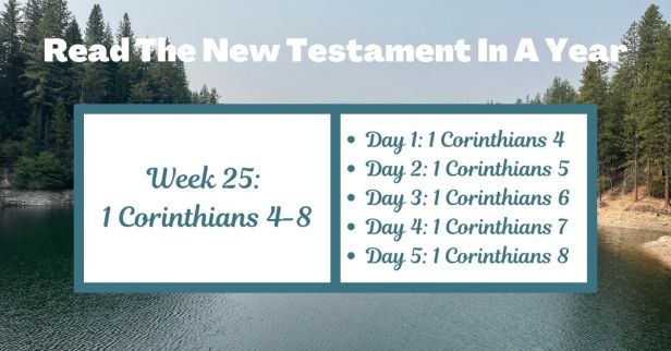 Read the New Testament in a Year: Week 27 – 1 Corinthians 14-16 and 1 ...