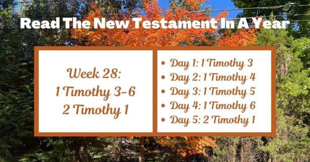 Read The New Testament In A Year Week 16 Romans 8 12 Joyful