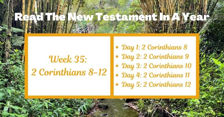 Read the New Testament in a Year: Week 35 – 2 Corinthians 8-12 – Joyful ...
