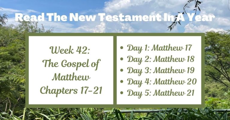 10 Joyful Bible Verses from the Gospel of Matthew – Joyful Moments in ...