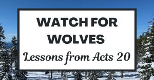 Watch for Wolves: Lessons from Acts 20 – Joyful Moments in Christ