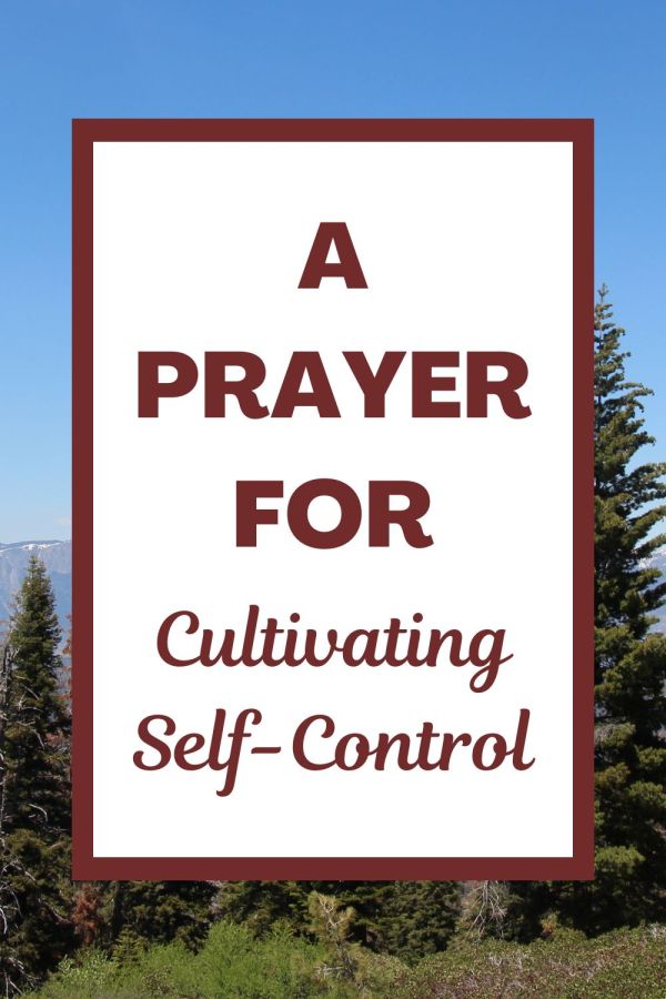 A Prayer for Cultivating Self-Control – Joyful Moments in Christ