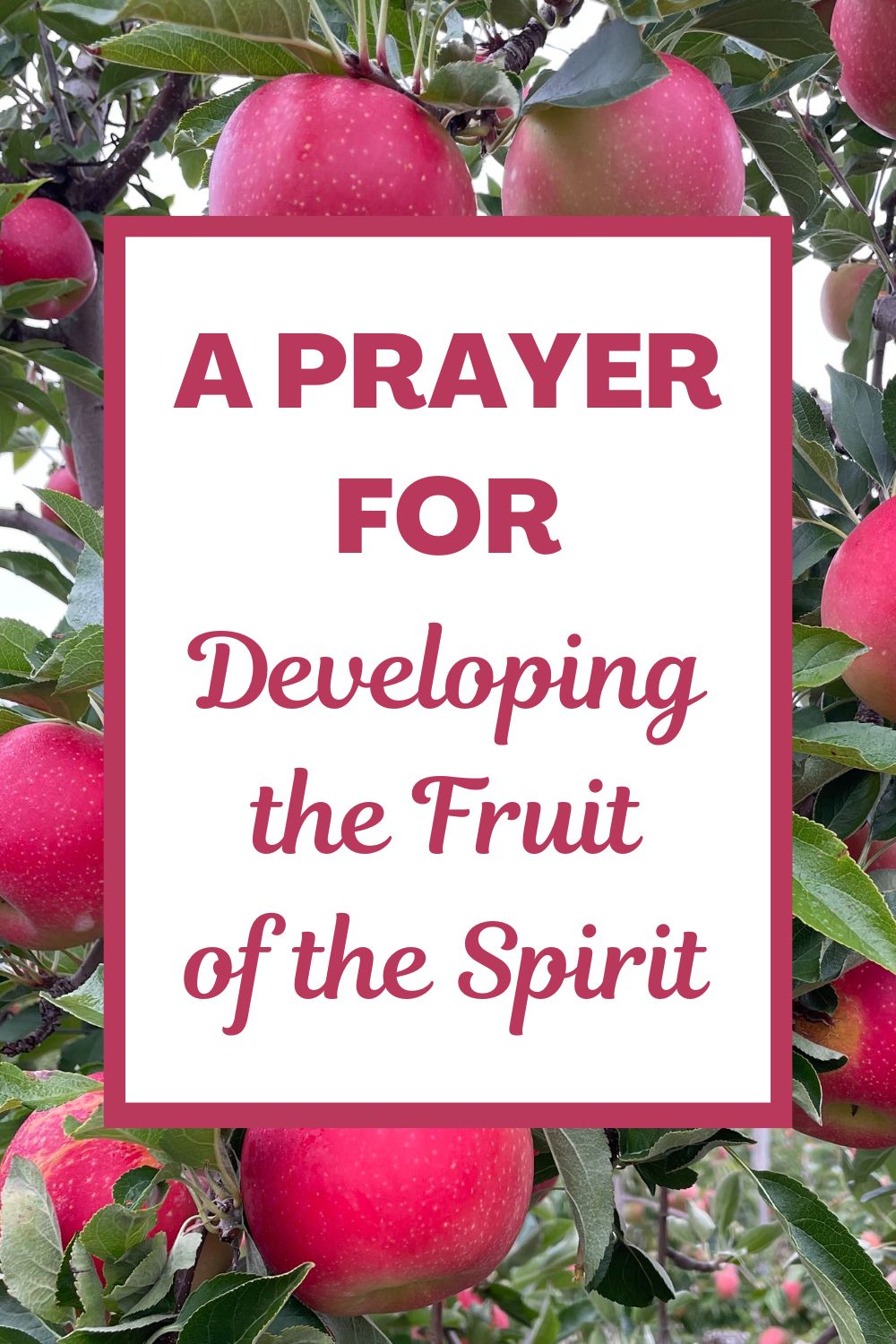 A Prayer for Developing the Fruit of the Spirit – Joyful Moments in Christ