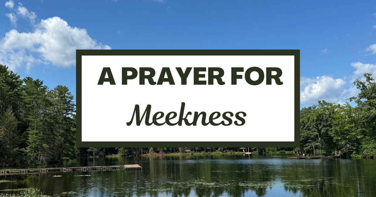 A Prayer for Practicing Gentleness – Joyful Moments in Christ