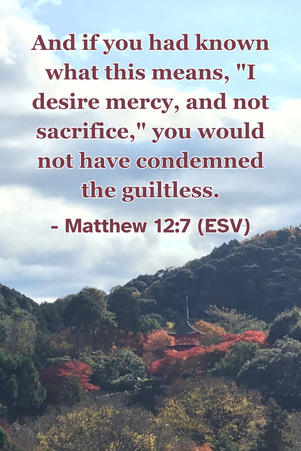 Read the New Testament in a Year: Week 41 – Matthew 12-16 – Joyful ...