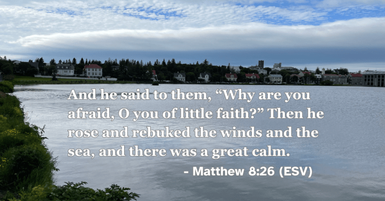 Read the New Testament in a Year: Week 40 – Matthew 7-11 – Joyful ...