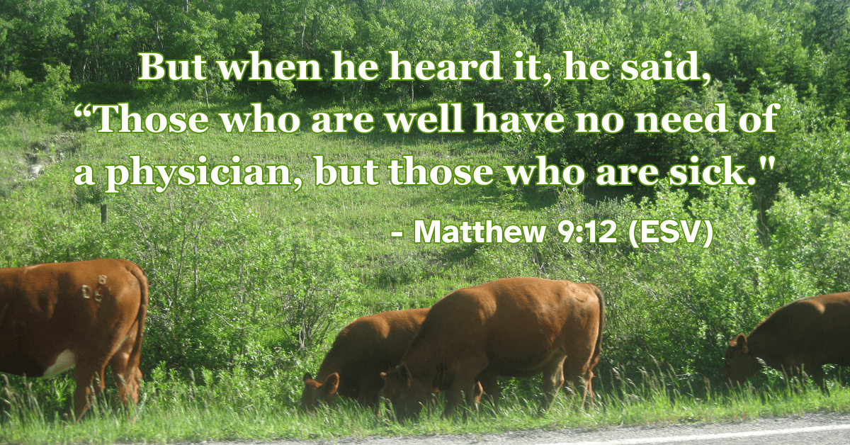 Read the New Testament in a Year: Week 40 – Matthew 7-11 – Joyful ...