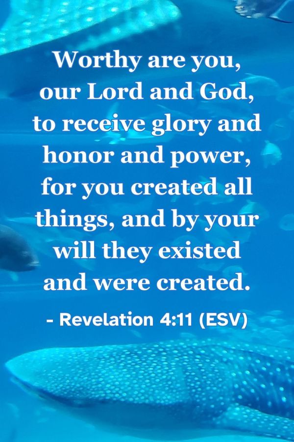 Read the New Testament in a Year: Week 49 – Revelation 3-7 – Joyful ...
