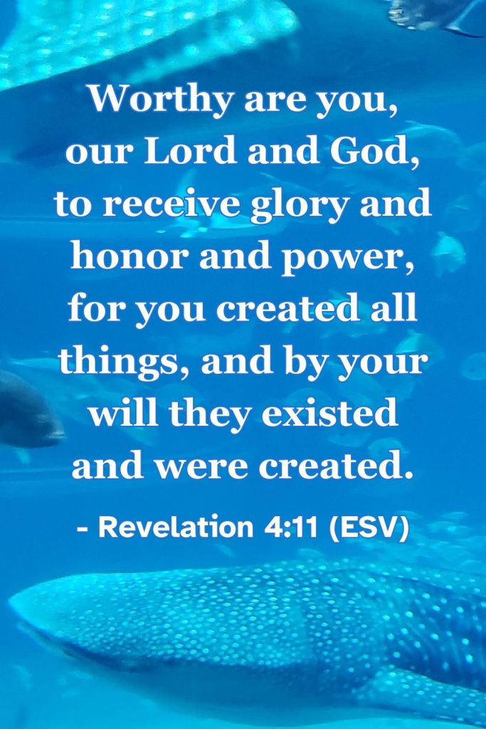Read the New Testament in a Year: Week 49 – Revelation 3-7 – Joyful ...