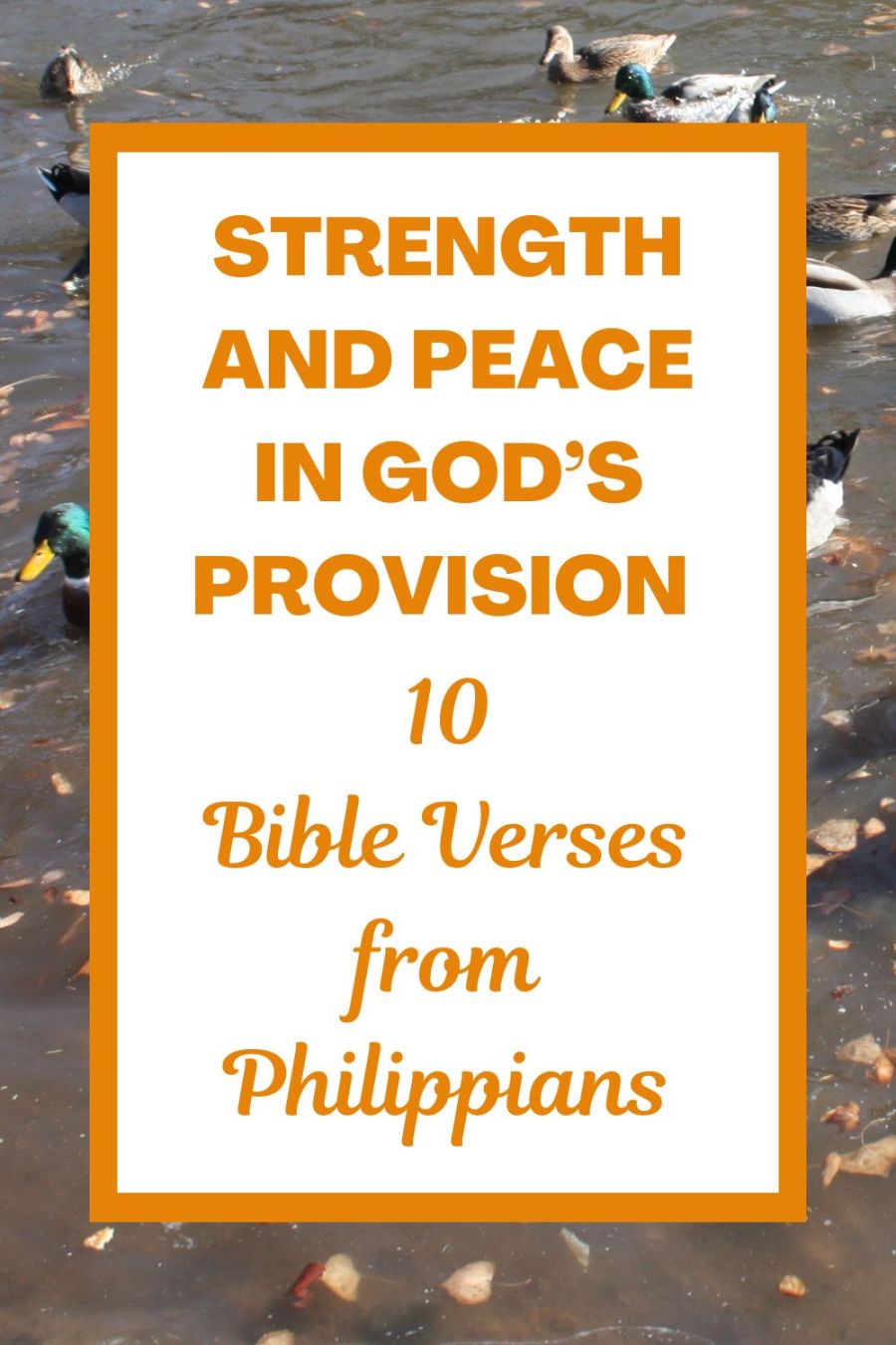 Strength and Peace in God’s Provision: 10 Bible Verses from Philippians ...