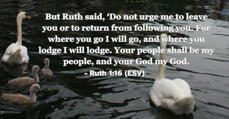 Finding Joy in Unexpected Places: 10 Bible Verses from the Book of Ruth ...