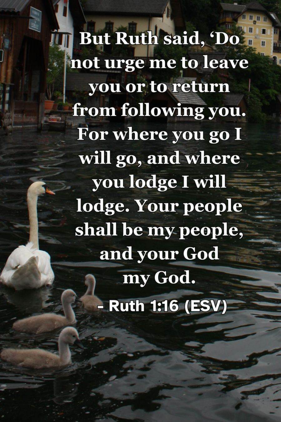 Finding Joy in Unexpected Places: 10 Bible Verses from the Book of Ruth ...