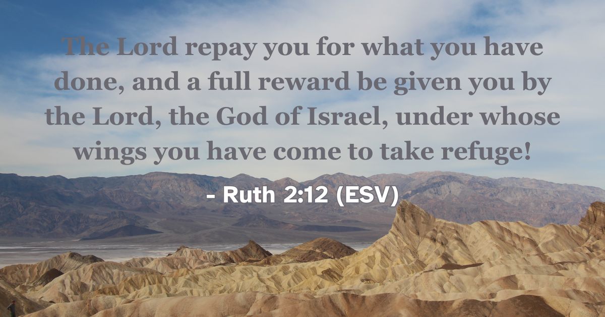Finding Joy in Unexpected Places: 10 Bible Verses from the Book of Ruth ...