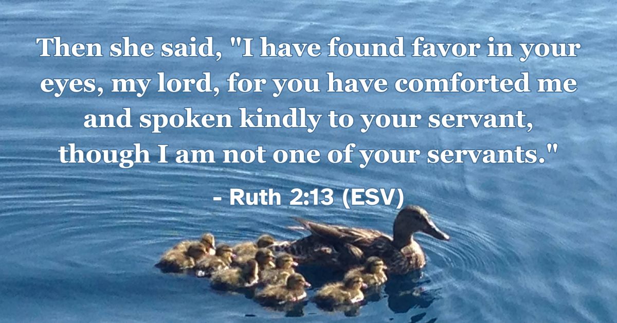 Finding Joy in Unexpected Places: 10 Bible Verses from the Book of Ruth ...