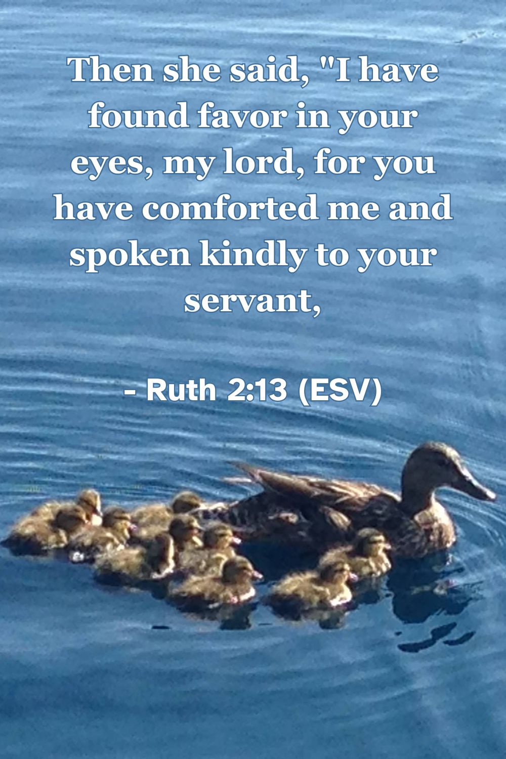 Finding Joy in Unexpected Places: 10 Bible Verses from the Book of Ruth ...