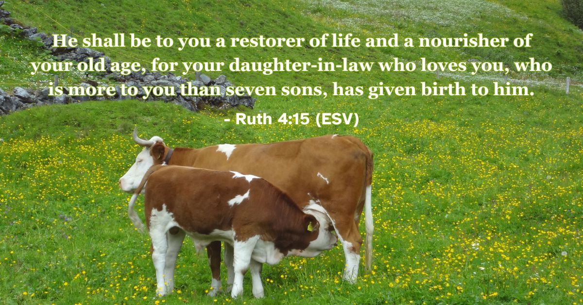 Finding Joy in Unexpected Places: 10 Bible Verses from the Book of Ruth ...