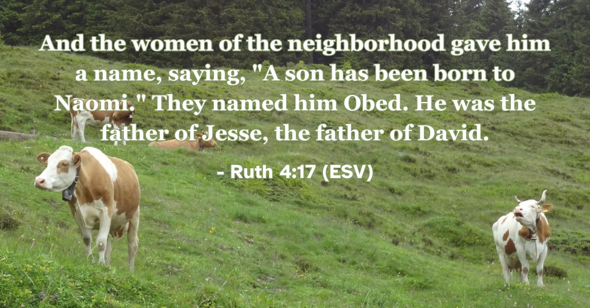 Finding Joy in Unexpected Places: 10 Bible Verses from the Book of Ruth ...
