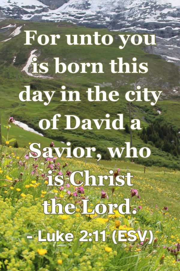 A Sunday School Lesson: Luke 2:8-20 – Joyful Moments in Christ