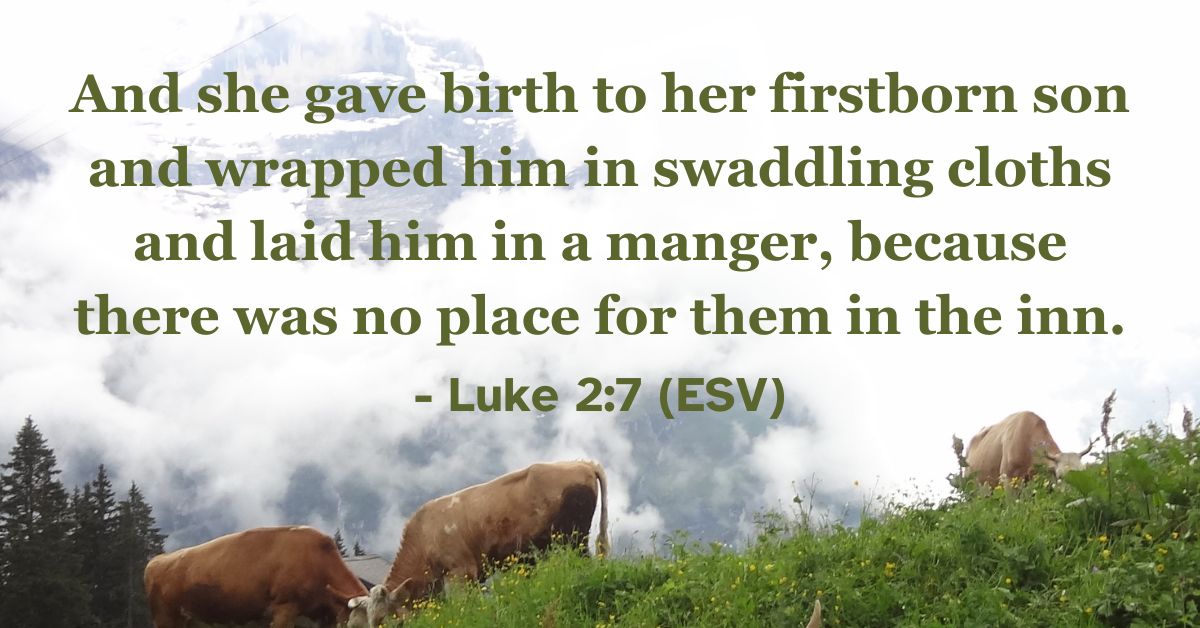 A Sunday School Lesson: Luke 2:1-7 – Joyful Moments in Christ