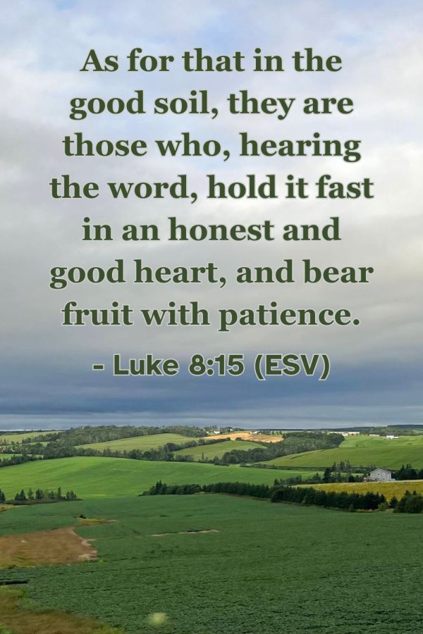 A Sunday School Lesson: Luke 8:4-21 – Joyful Moments in Christ