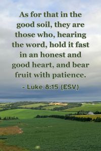 A Sunday School Lesson: Luke 8:4-21 – Joyful Moments in Christ