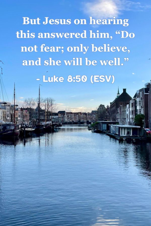 A Sunday School Lesson: Luke 8:40-56 – Joyful Moments in Christ