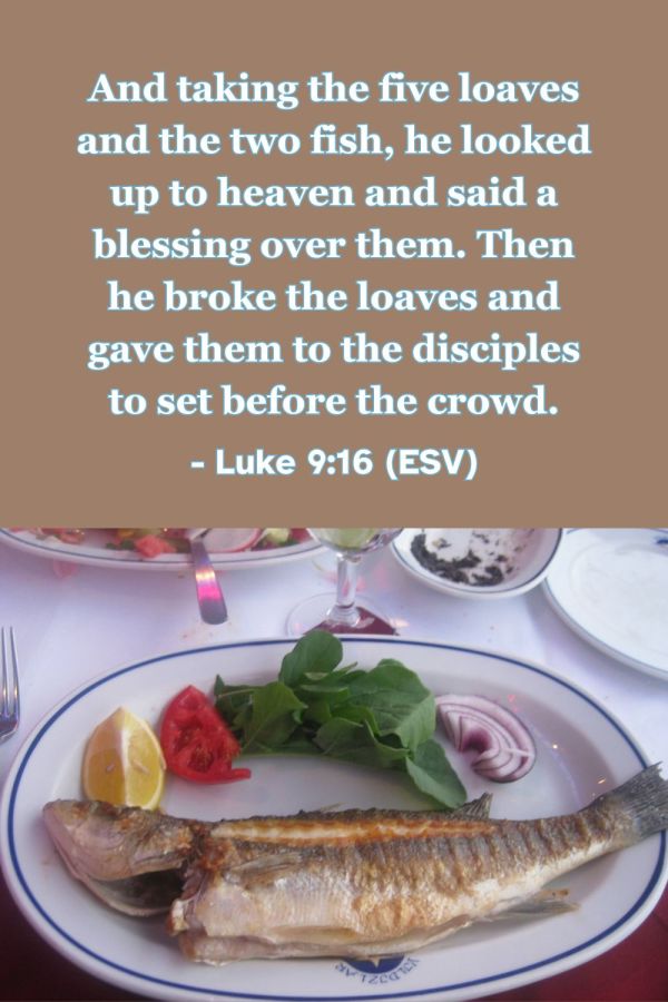 A Sunday School Lesson: Luke 9:1-17 – Joyful Moments in Christ