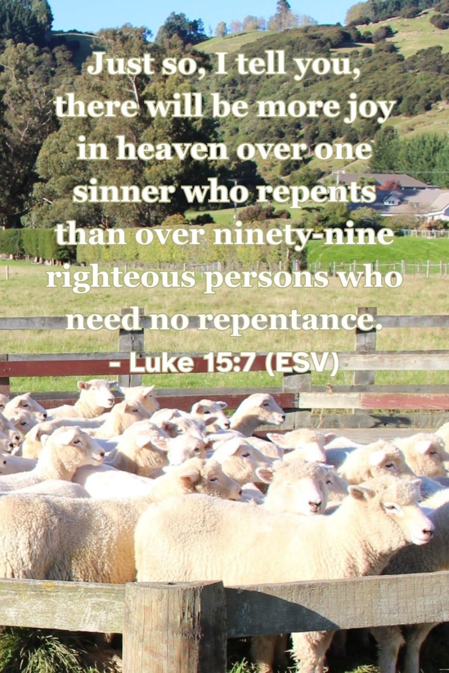 Jonah 3: Obedience, Repentance, and the Joy That Follows – Joyful ...